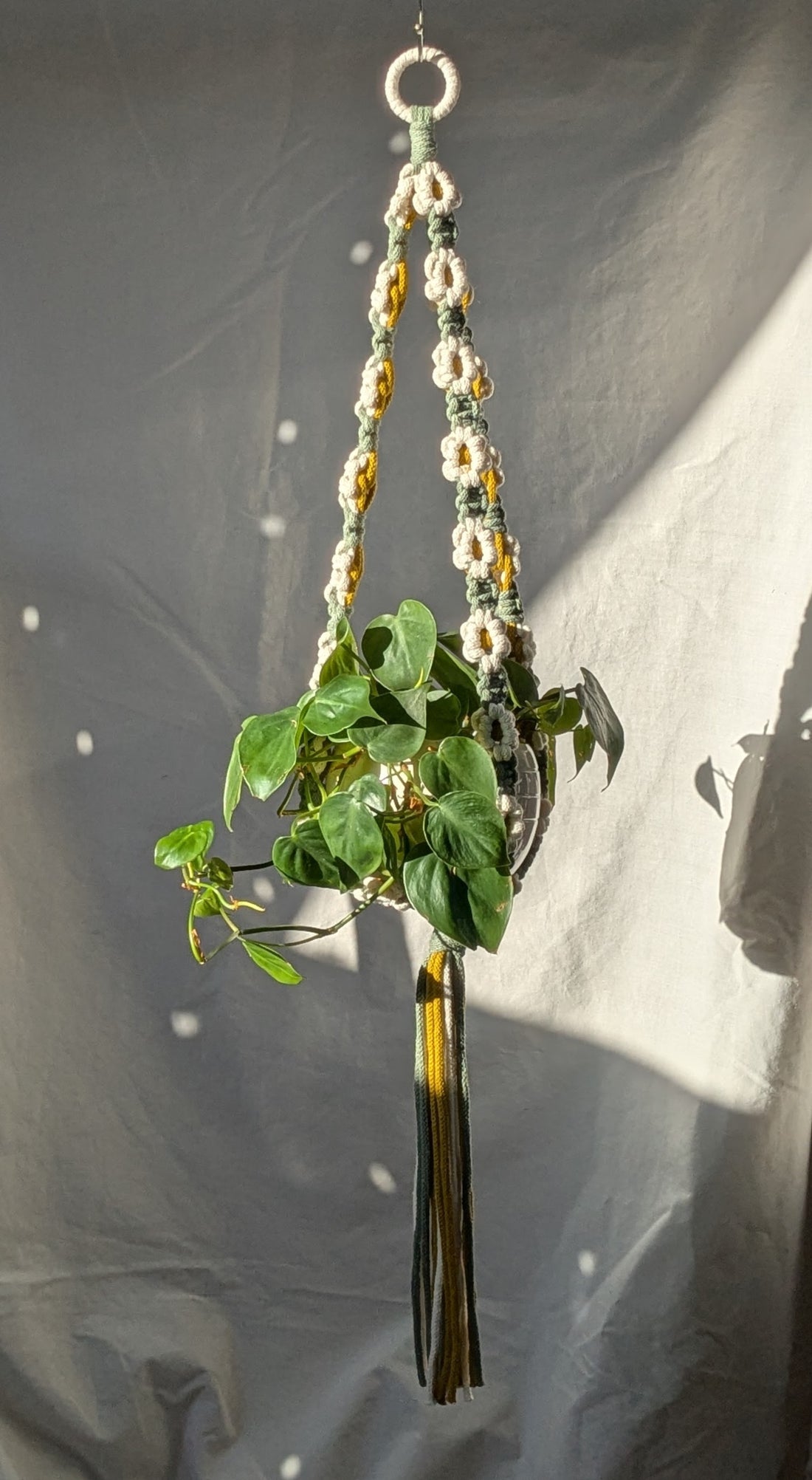 Flower Power Plant Hanger – CharKnots