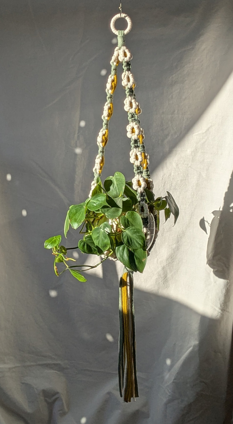 Flower Power Plant Hanger – CharKnots